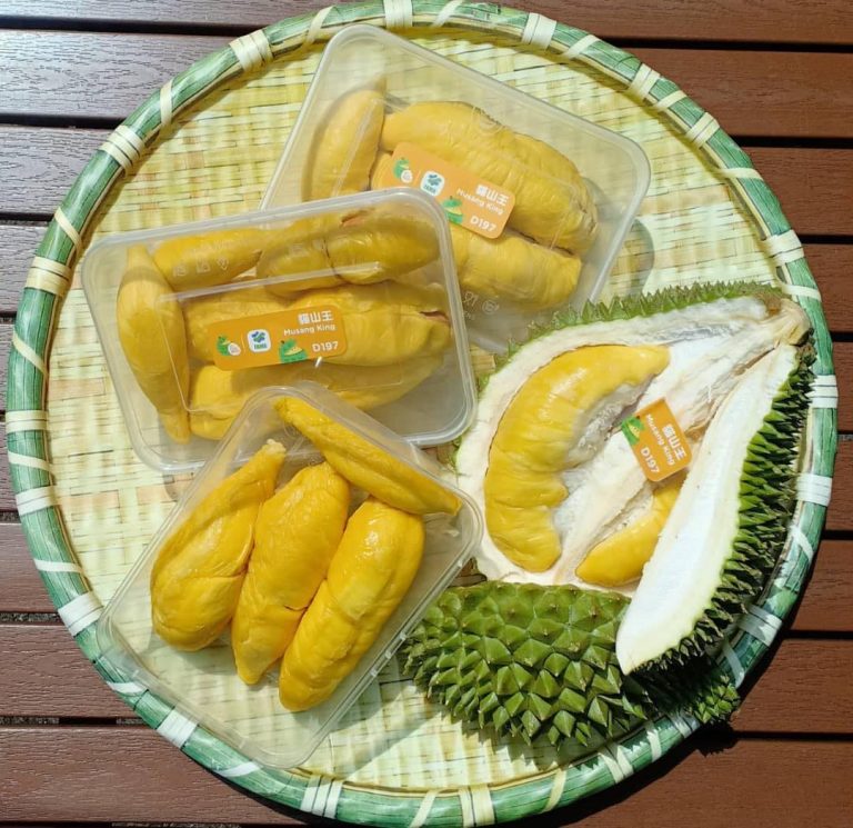 Durian Duria Mooncake Pamper My durian-duria-mooncake-pamper-my