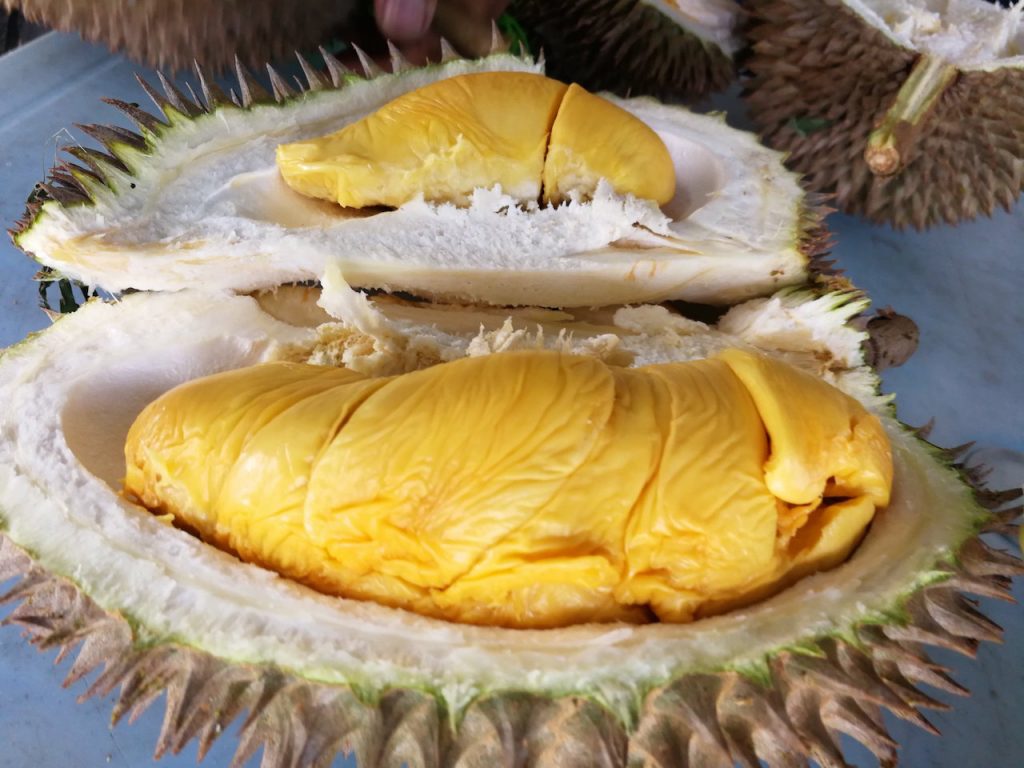 Get Your Durian Craving Fixed at Shopee 6.6 Super Sale from as low as ...